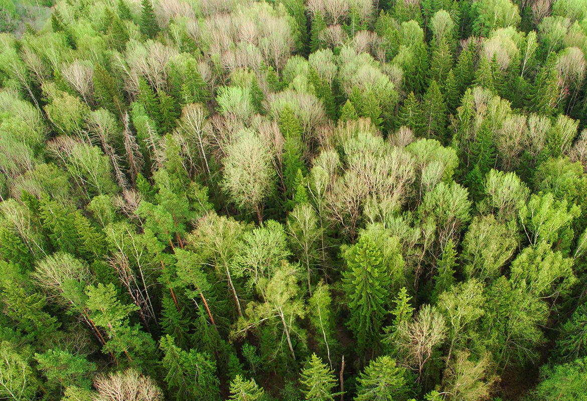 Functional and Proper Management Responsibilities